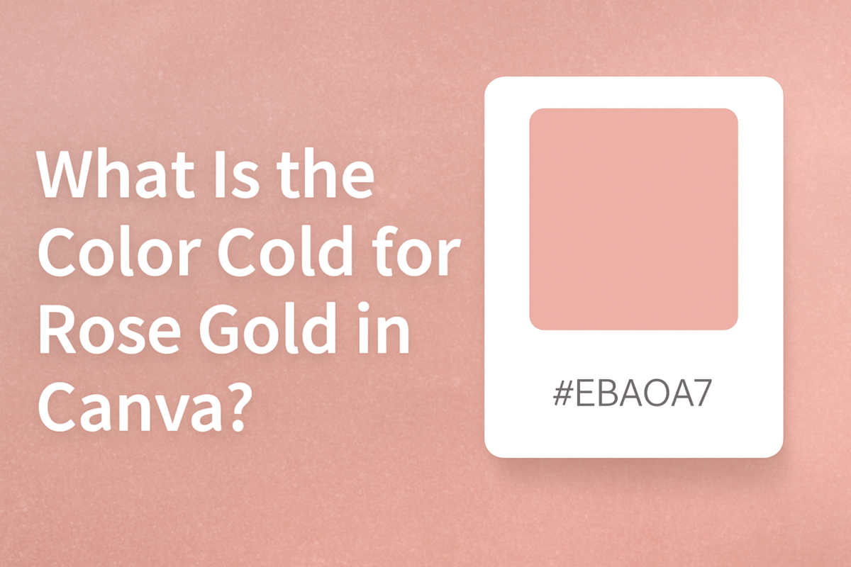 What Is the Color Code for Rose Gold in Canva?